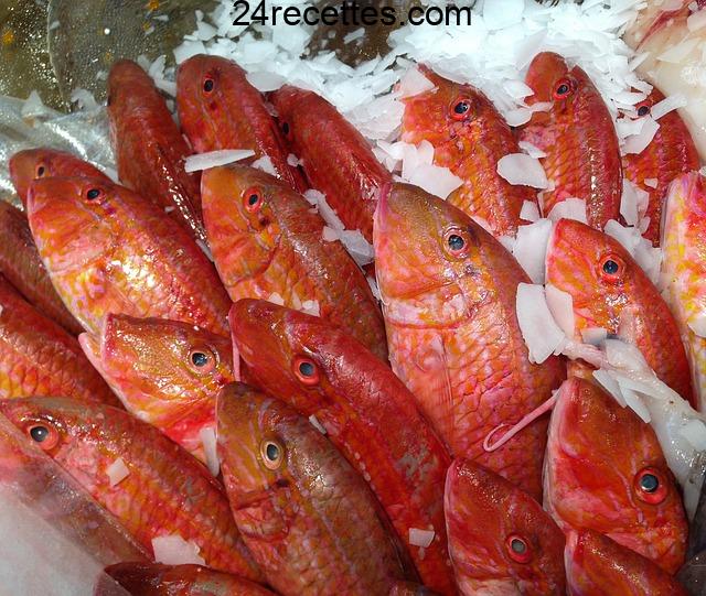 Les bienfaits du poisson mulet - Cuisine & pâtisserie moderne